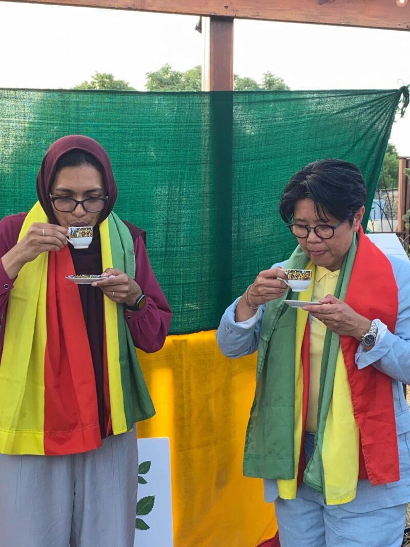 ethioassociation.ca – Ethiopian Association in the GTA and surrounding regions